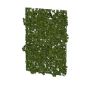 Middle Untamed Wall Ivy - Store - The Sims™ 3