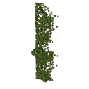 Right Untamed Wall Ivy - Store - The Sims™ 3