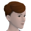 The Professional - Store - The Sims™ 3